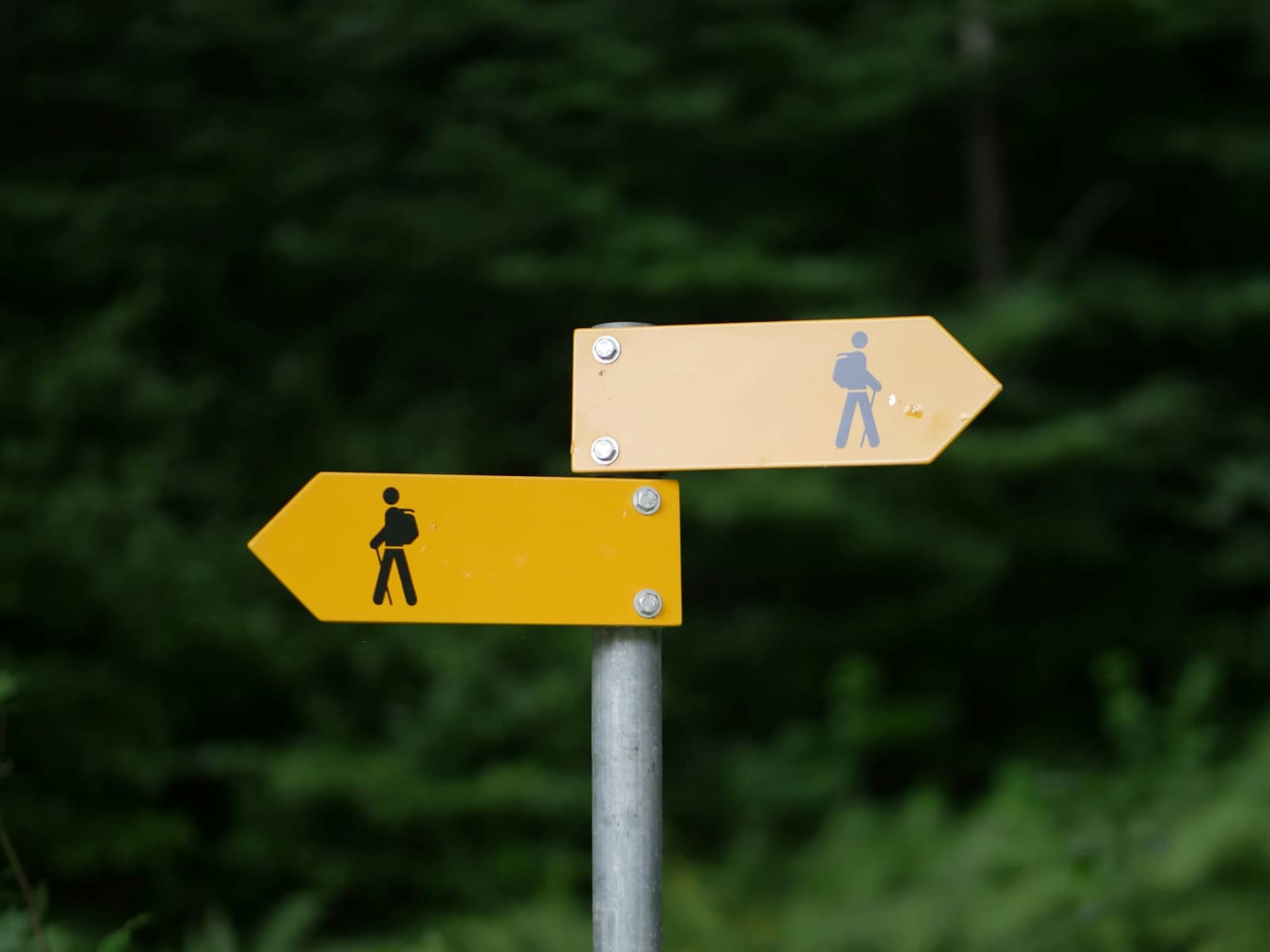 Questions Tu préfères : 200 questions inédites par thème - Idées de jeux